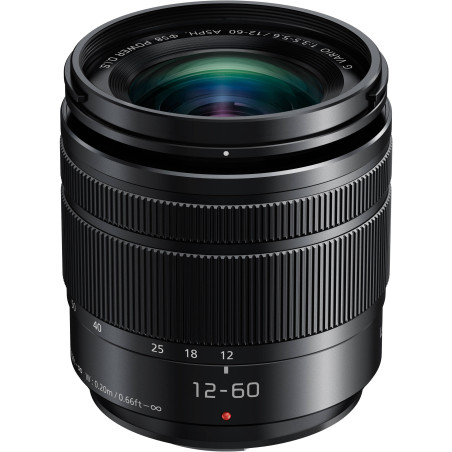 Panasonic Lumix DC-G100D + LUMIX G VARIO 12-60mm f 3.5-5.6 Asph. Black ...