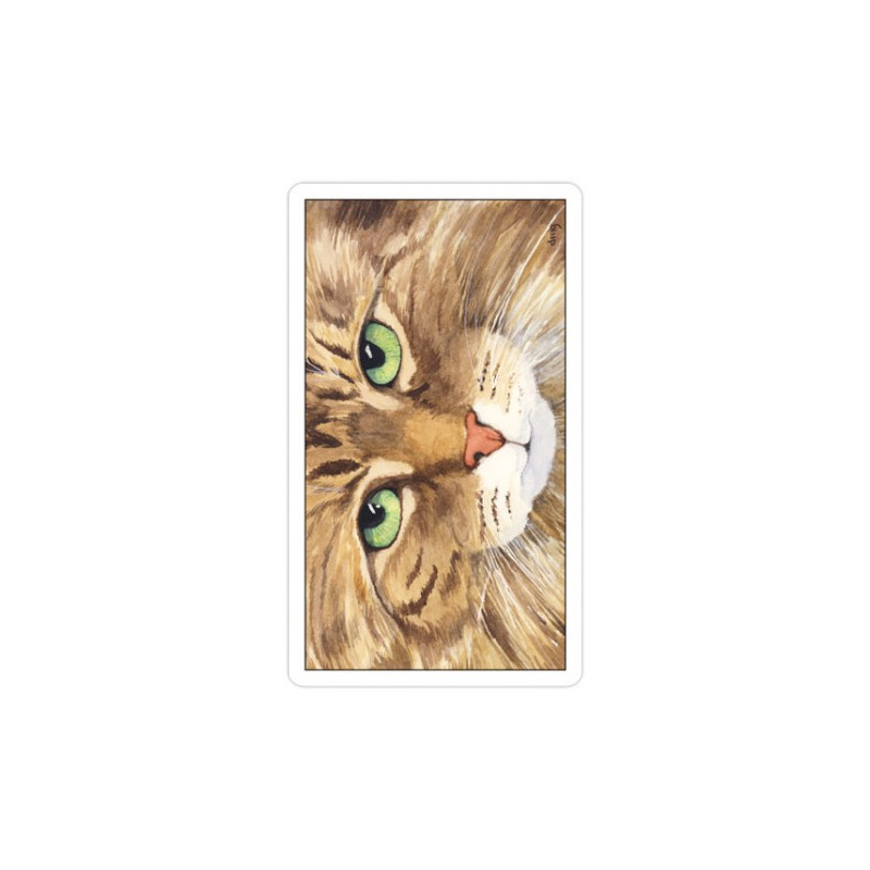US Games Systems Cats Eye Taro Kortos | Marsietis.lt