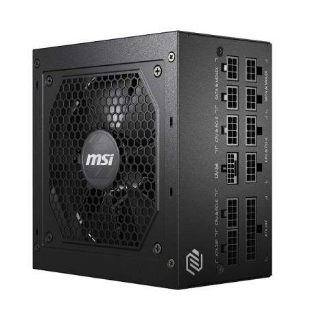MSI MAG A750GL 750W PCIE5 II 80+ Gold Power Supply 306-7ZP8D11-CE0 ...