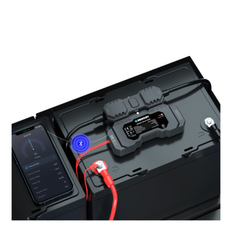 Battery Shunt Renogy 300 BT | Marsietis.lt